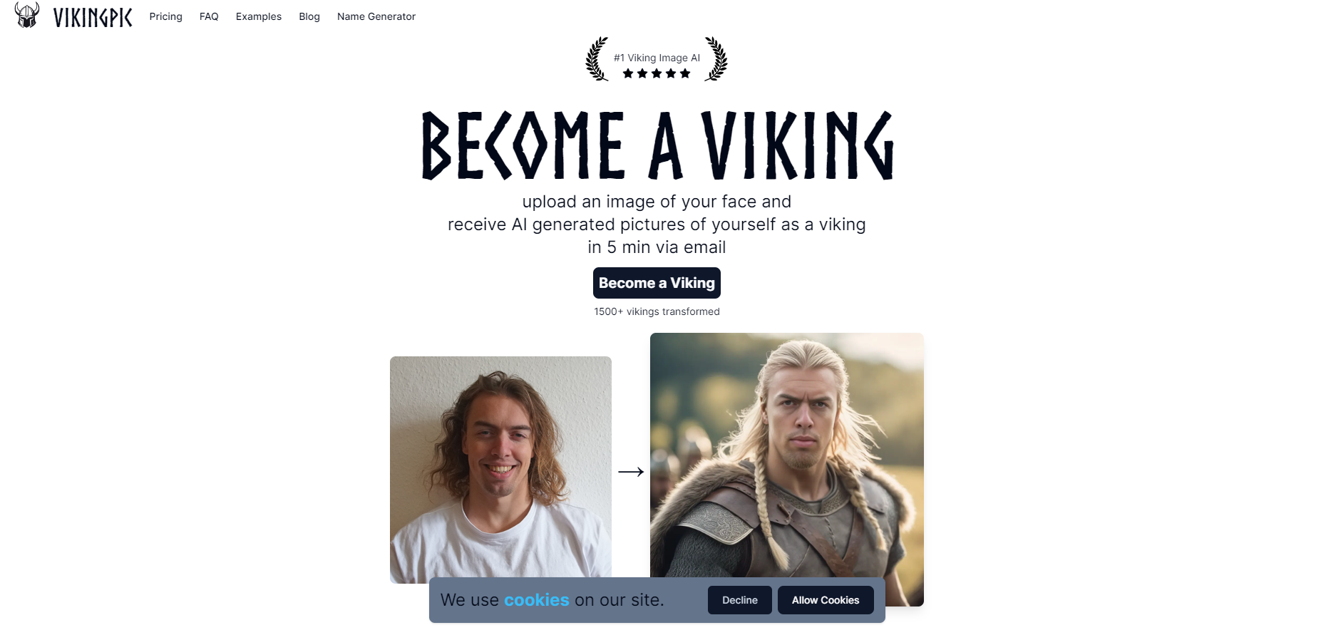 VikingPic: 리뷰, 기능, 가격, 가이드 및 대안