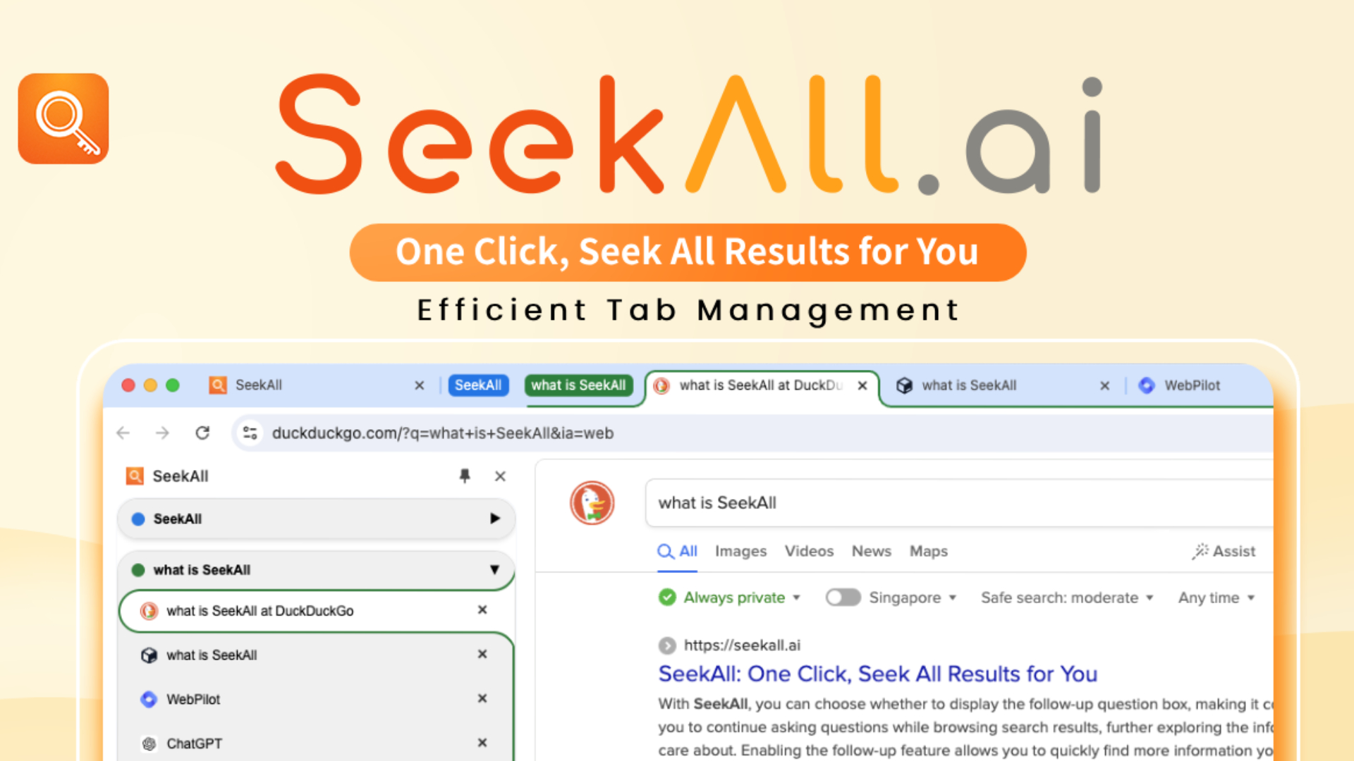SeekAll Review: AI-Powered Multi-Platform Web Search Tool
