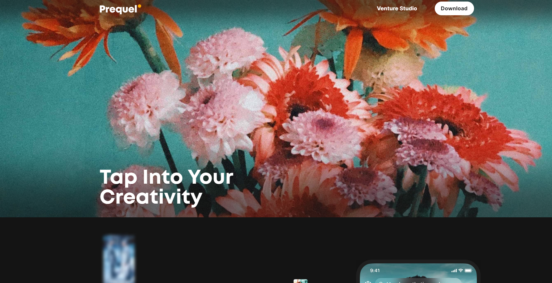 PREQUEL: Reviews, Features, Pricing, Guides, and Alternatives