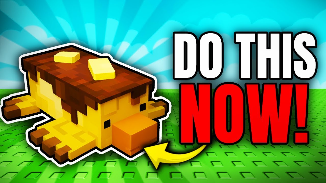 How to Get Pancake Mole in Grow a Garden Roblox