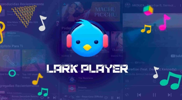 How to Download LARK PLAYER APK on Android