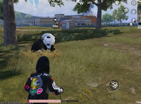 Where to find the panda in PUBG Mobile 3.6 and what it can do.