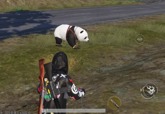 Where to find the panda in PUBG Mobile 3.6 and what it can do.