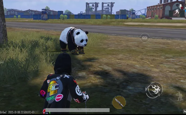 Where to find the panda in PUBG Mobile 3.6 and what it can do.