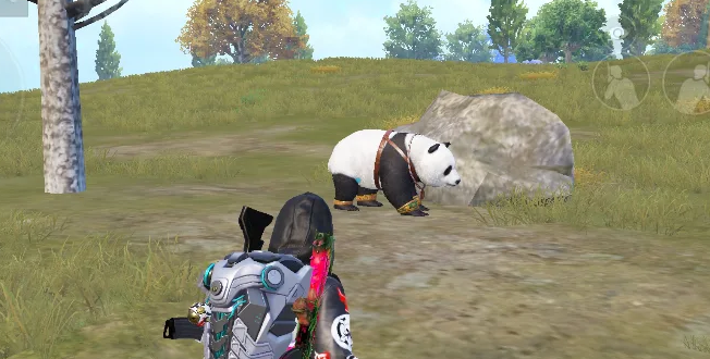 Where to find the panda in PUBG Mobile 3.6 and what it can do.