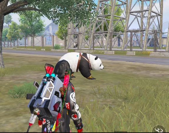 Where to find the panda in PUBG Mobile 3.6 and what it can do.