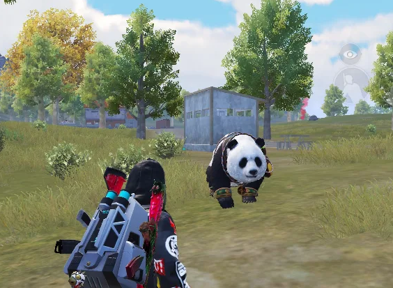 Where to find the panda in PUBG Mobile 3.6 and what it can do.